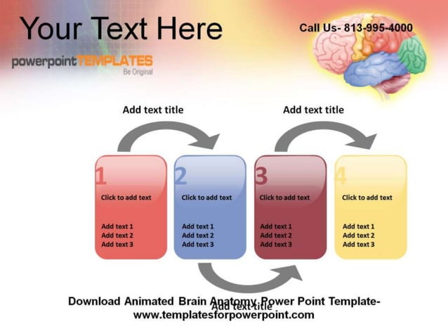 Editable animated brain anatomy powerpoint template | PPT