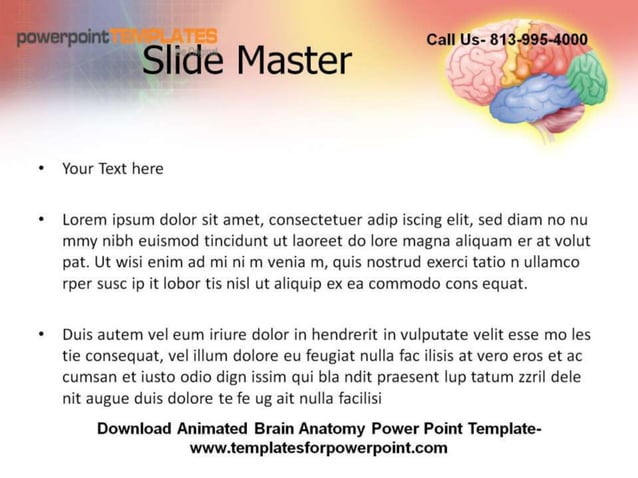 Editable animated brain anatomy powerpoint template | PPT