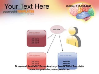 Editable animated brain anatomy powerpoint template | PPTX