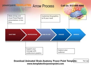 Editable animated brain anatomy powerpoint template | PPTX