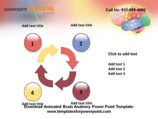 Editable animated brain anatomy powerpoint template | PPTX