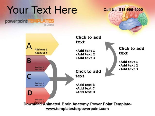 Editable animated brain anatomy powerpoint template | PPT