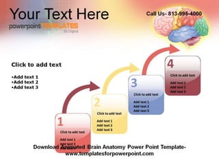 Editable animated brain anatomy powerpoint template | PPTX