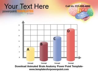 Editable animated brain anatomy powerpoint template | PPTX