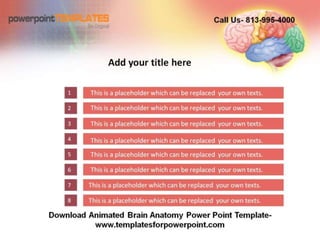 Editable animated brain anatomy powerpoint template | PPTX