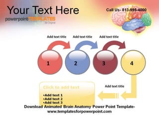 Editable animated brain anatomy powerpoint template | PPTX
