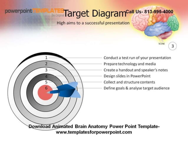 Editable animated brain anatomy powerpoint template | PPT