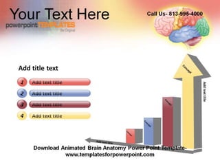 Editable animated brain anatomy powerpoint template | PPTX
