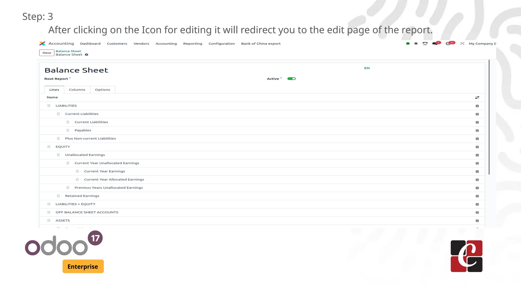 Edit Accounting reports in Odoo 17 - Odoo 17 Slides | PPTX