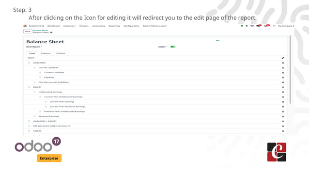Edit Accounting reports in Odoo 17 - Odoo 17 Slides | PPT