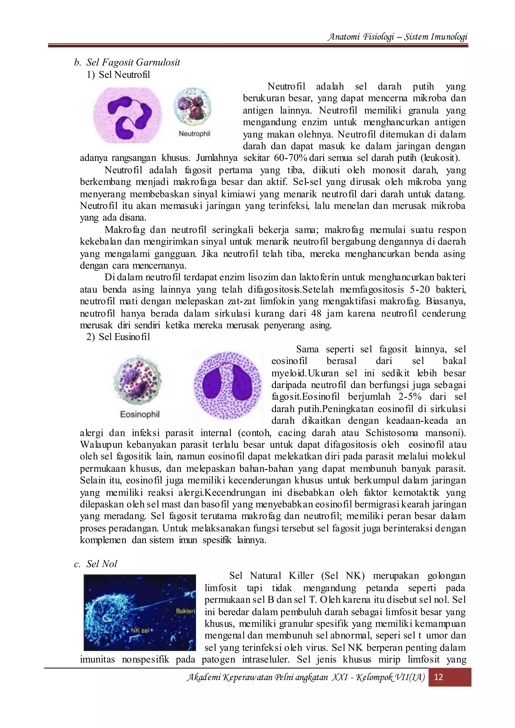 anatomi fisiologi sistem imunologi | DOCX