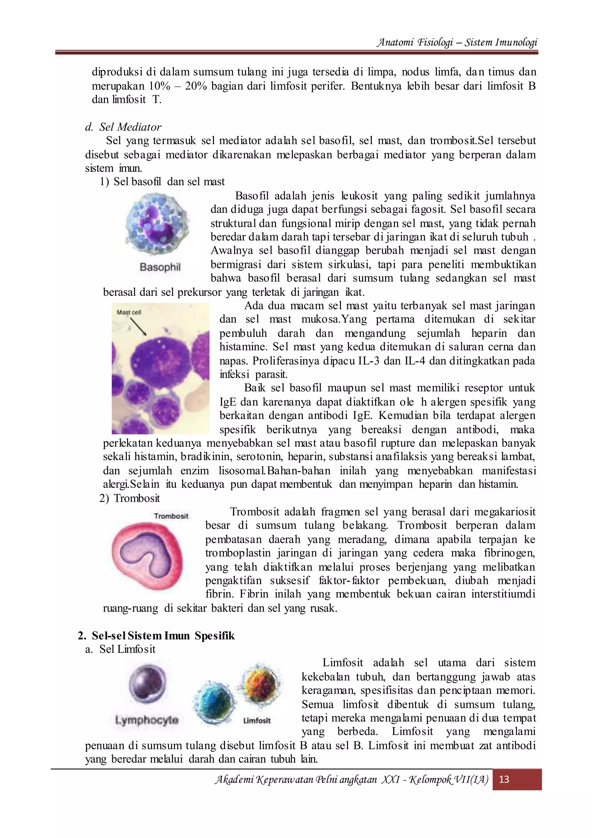anatomi fisiologi sistem imunologi | DOCX