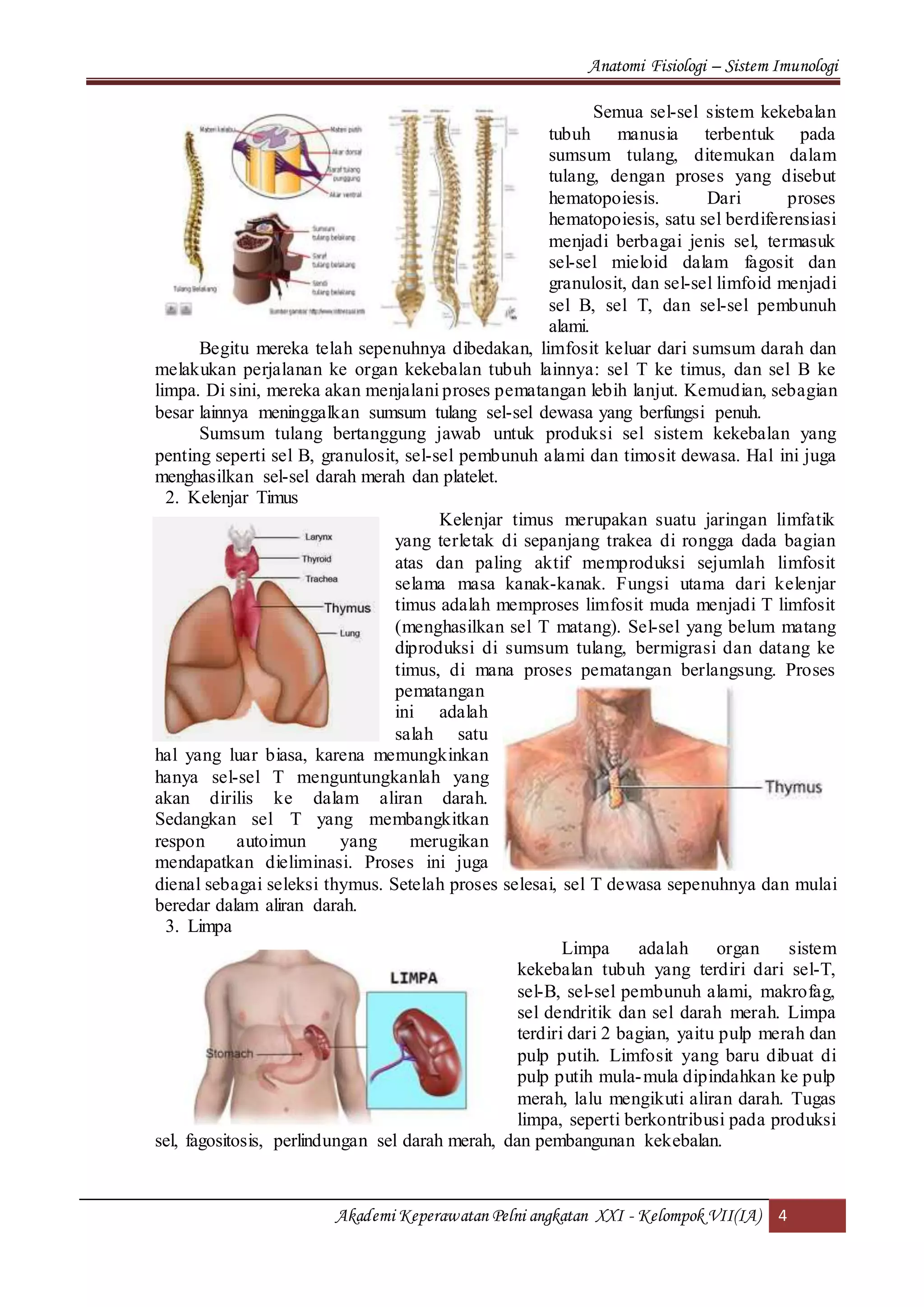 anatomi fisiologi sistem imunologi | DOCX