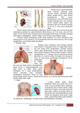 anatomi fisiologi sistem imunologi | DOCX