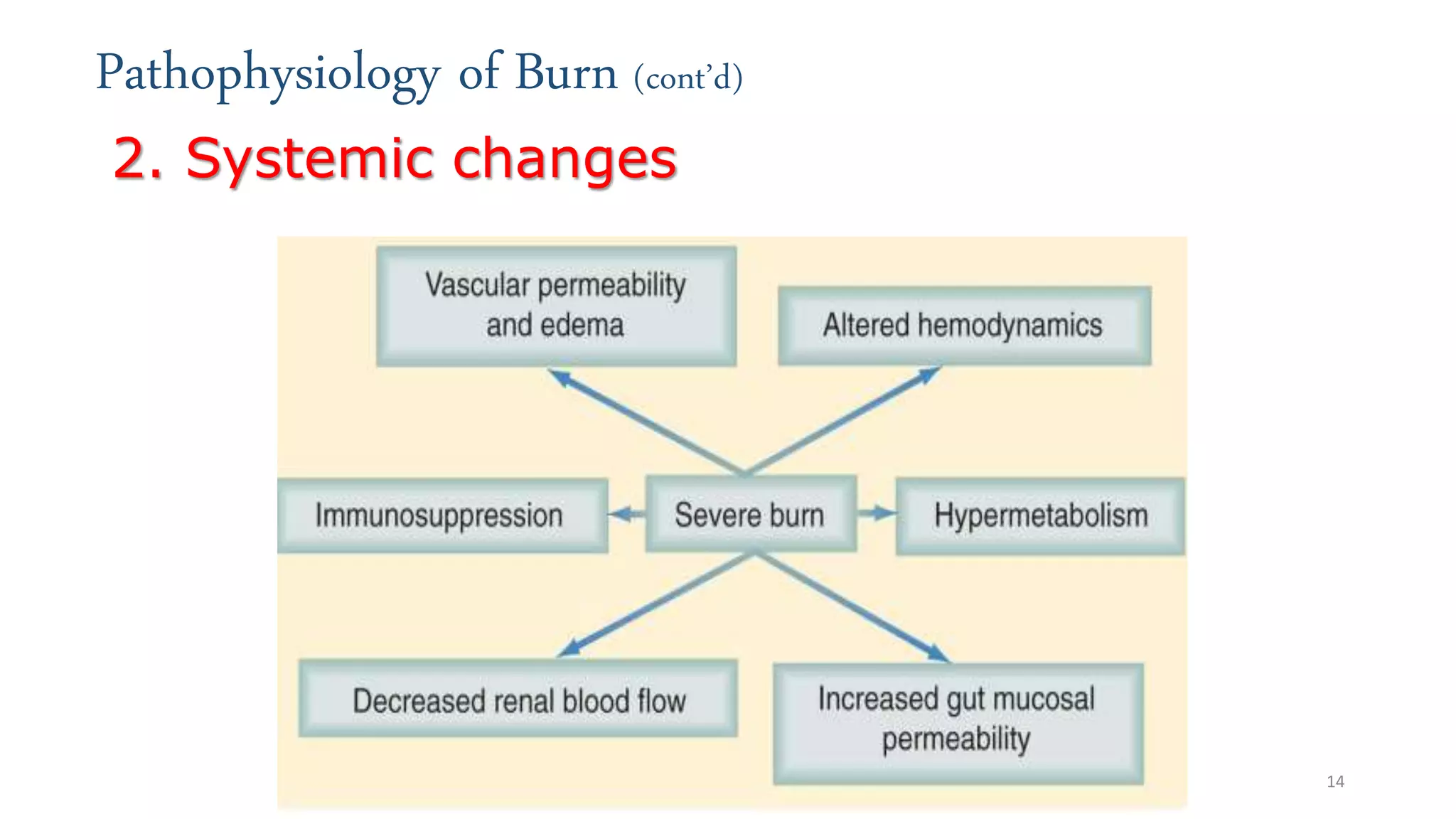 Classification, Principles, assessment and management of burn | PPTX