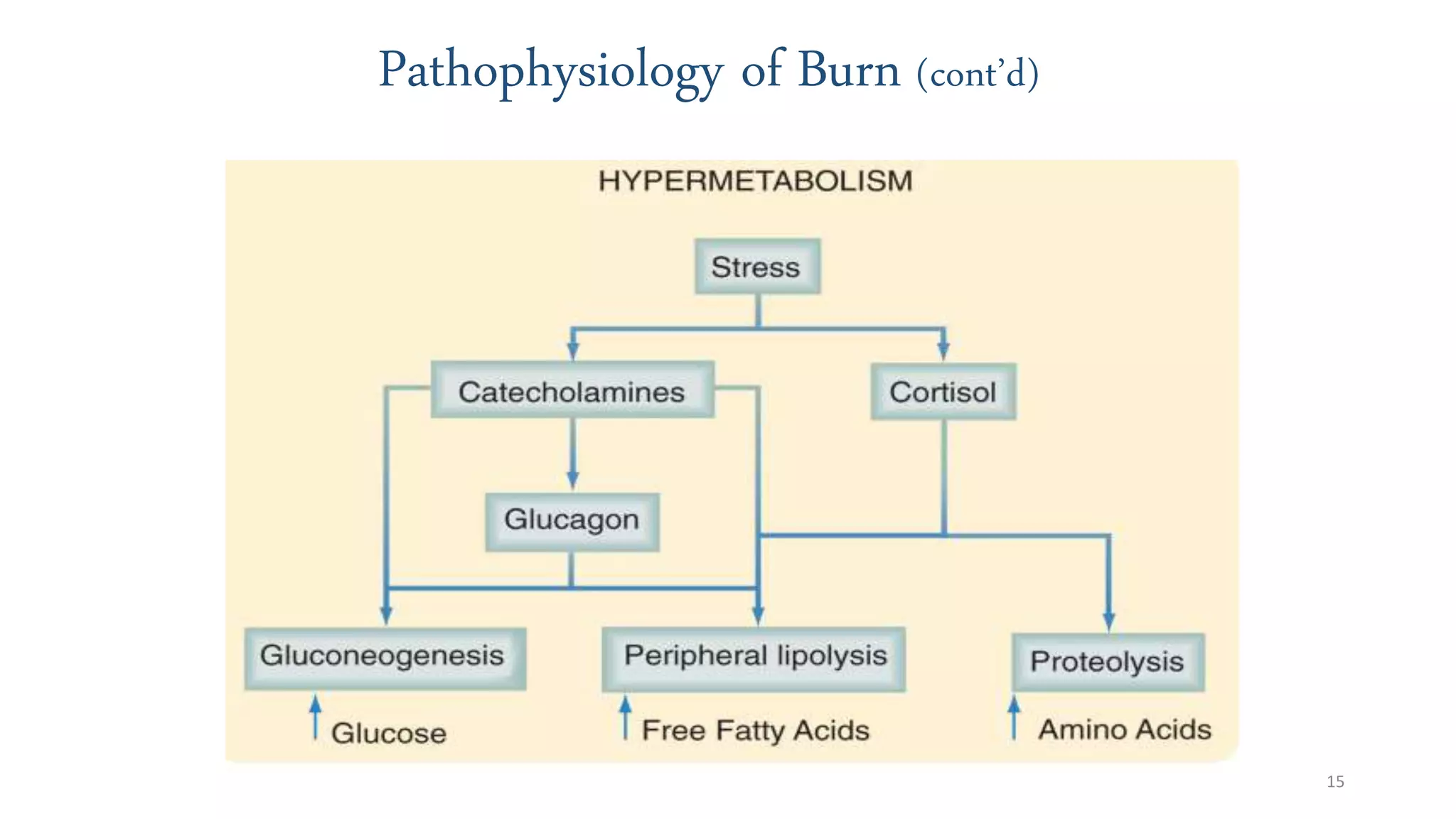 Classification, Principles, assessment and management of burn | PPTX