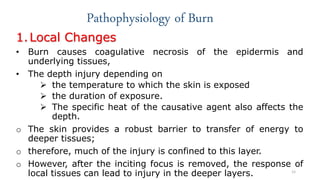 Classification, Principles, assessment and management of burn | PPTX