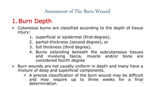 Classification, Principles, assessment and management of burn | PPTX
