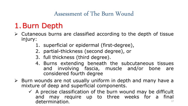 Classification, Principles, assessment and management of burn | PPTX ...