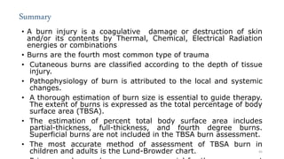 Classification, Principles, assessment and management of burn | PPTX