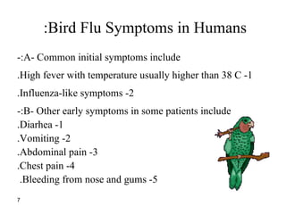 Edited Bird Flu | PPT