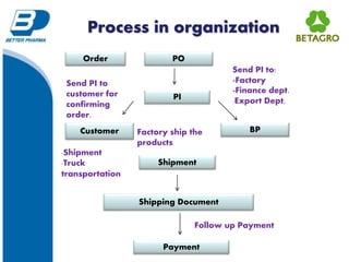 presentation exportation process | PPT