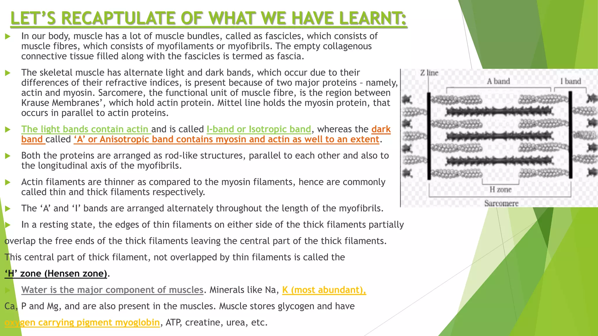 EDITED- PART II- LOCOMOTION AND MOVEMENT – STRUCTURE,.pptx