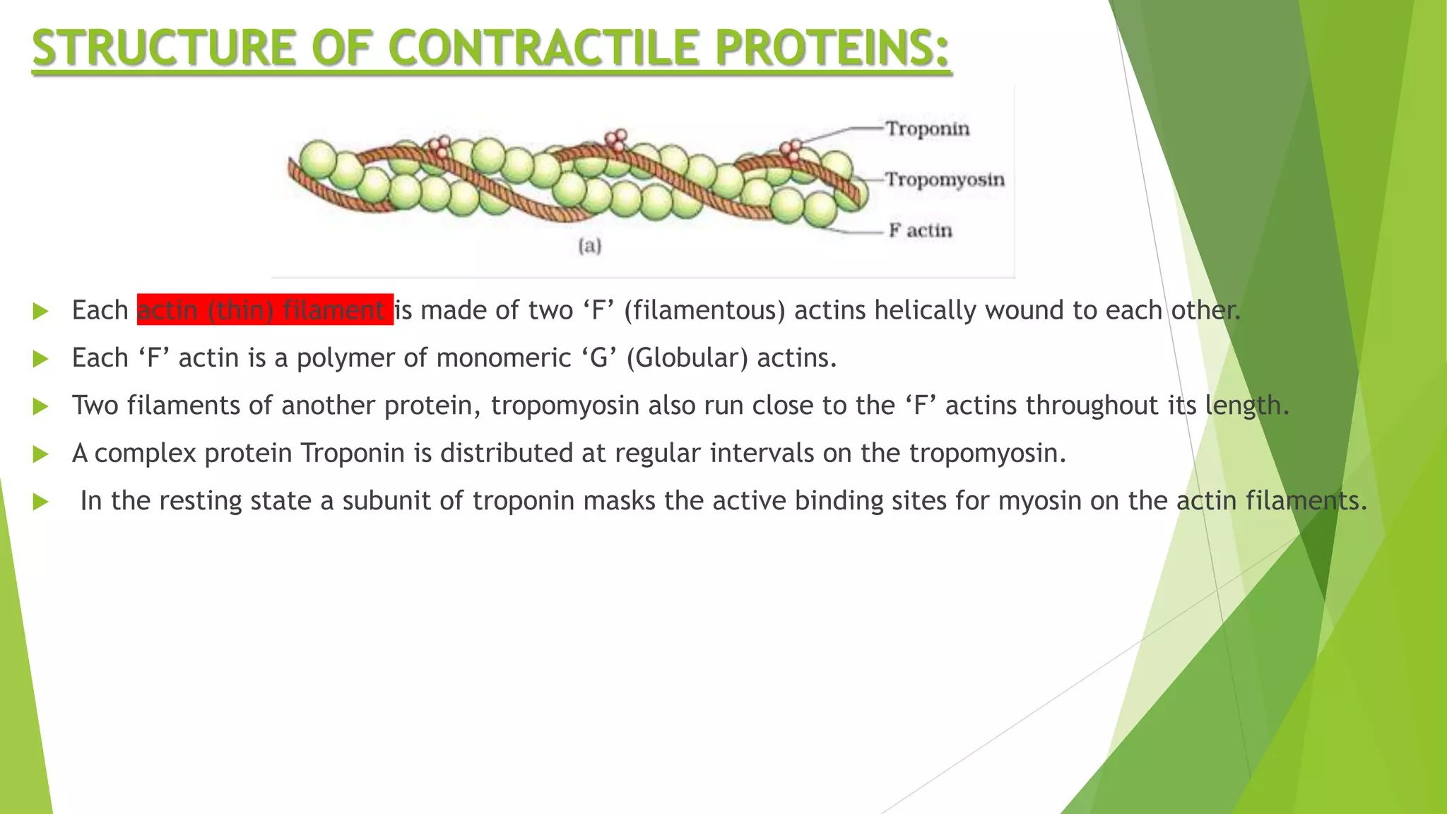 EDITED- PART II- LOCOMOTION AND MOVEMENT – STRUCTURE,.pptx