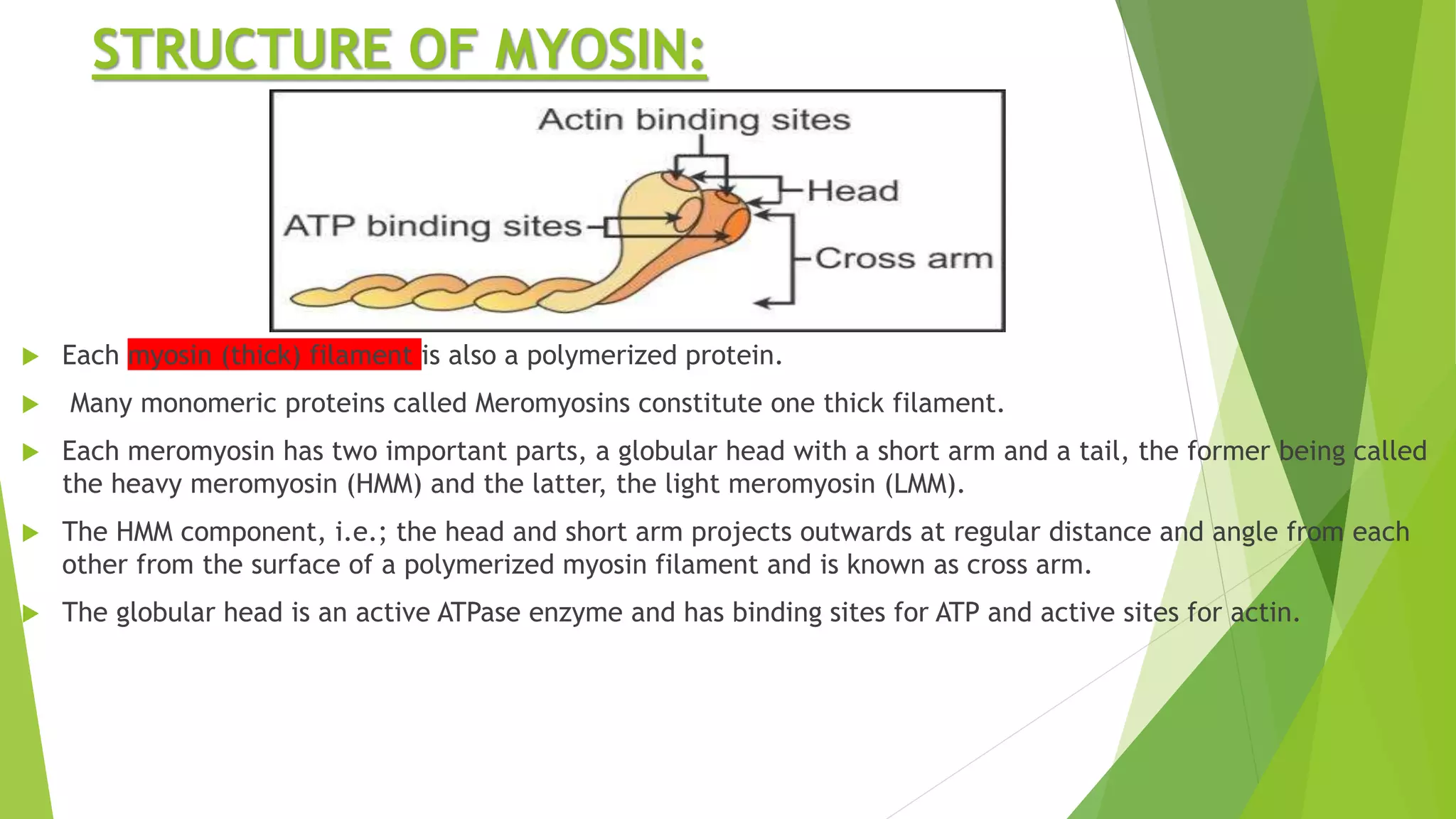 EDITED- PART II- LOCOMOTION AND MOVEMENT – STRUCTURE,.pptx