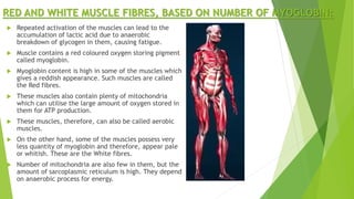 EDITED- PART II- LOCOMOTION AND MOVEMENT – STRUCTURE,.pptx