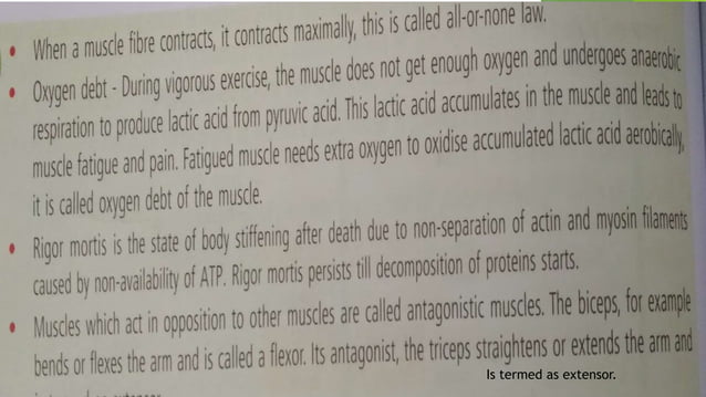 EDITED- PART II- LOCOMOTION AND MOVEMENT – STRUCTURE,.pptx