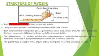 EDITED- PART II- LOCOMOTION AND MOVEMENT – STRUCTURE,.pptx