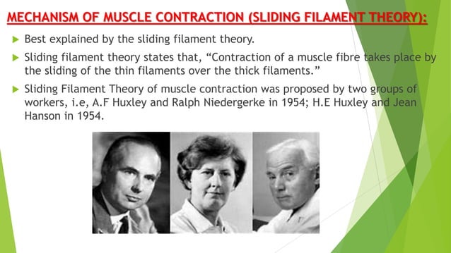 EDITED- PART II- LOCOMOTION AND MOVEMENT – STRUCTURE,.pptx