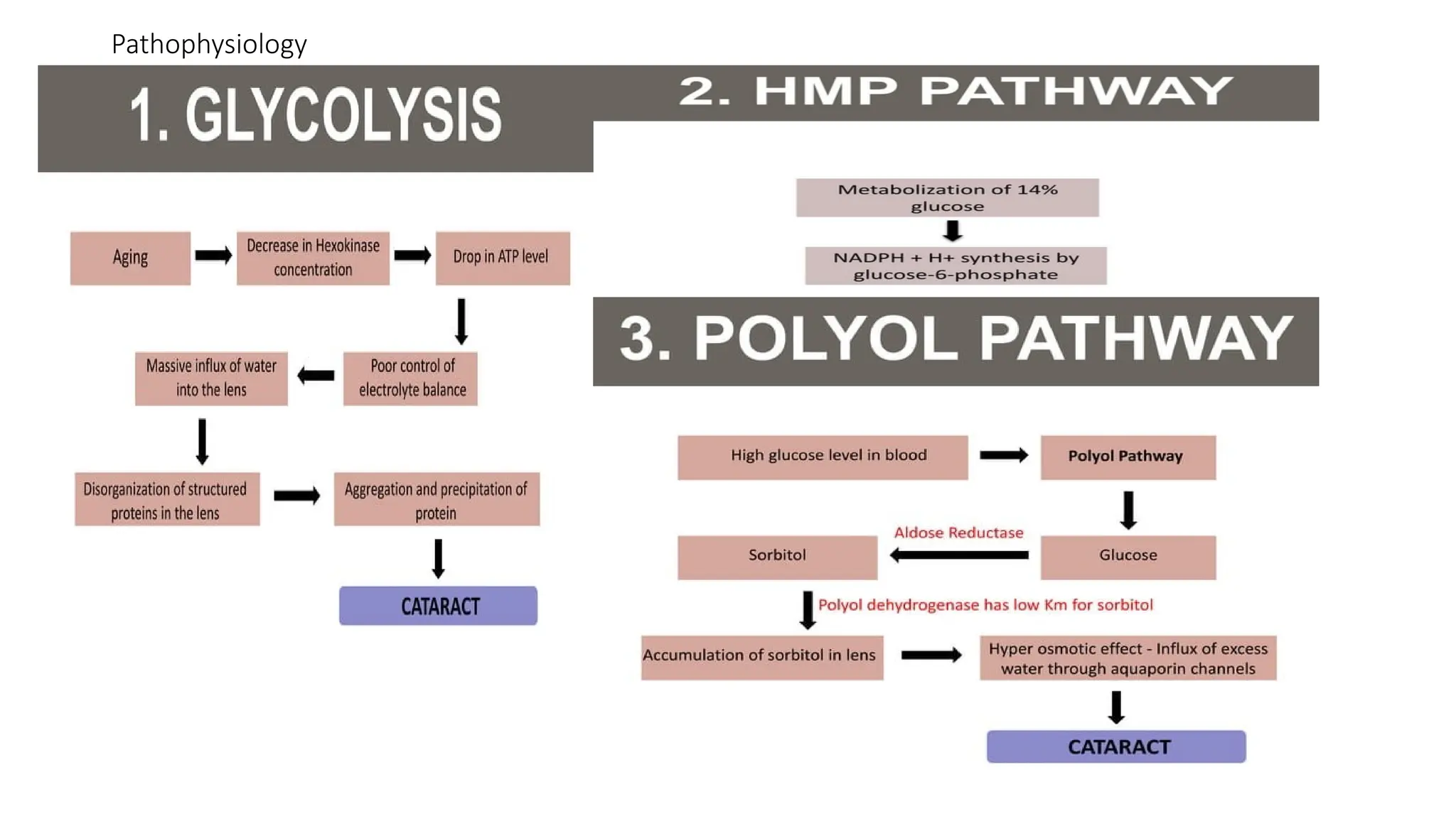 CATARACT made easy and in great detail.pptx