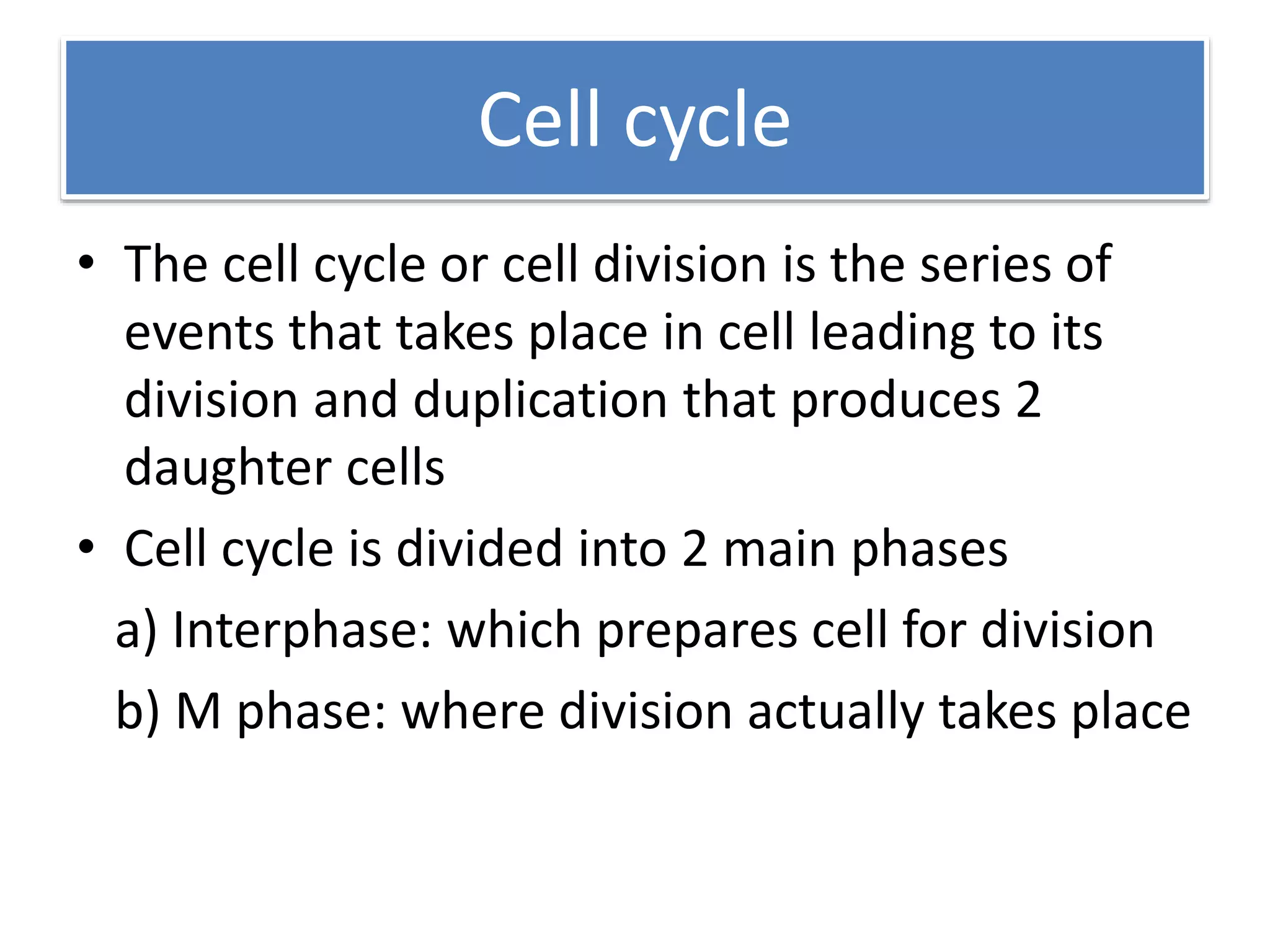 cell cycle in detail (interphase ) | PPTX