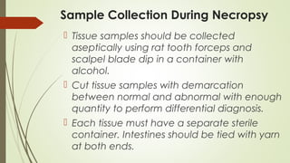 Collection and Handling of Specimens for Laboratory Diagnosis | PPT
