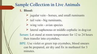 Collection and Handling of Specimens for Laboratory Diagnosis | PPT