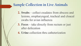 Collection and Handling of Specimens for Laboratory Diagnosis | PPT
