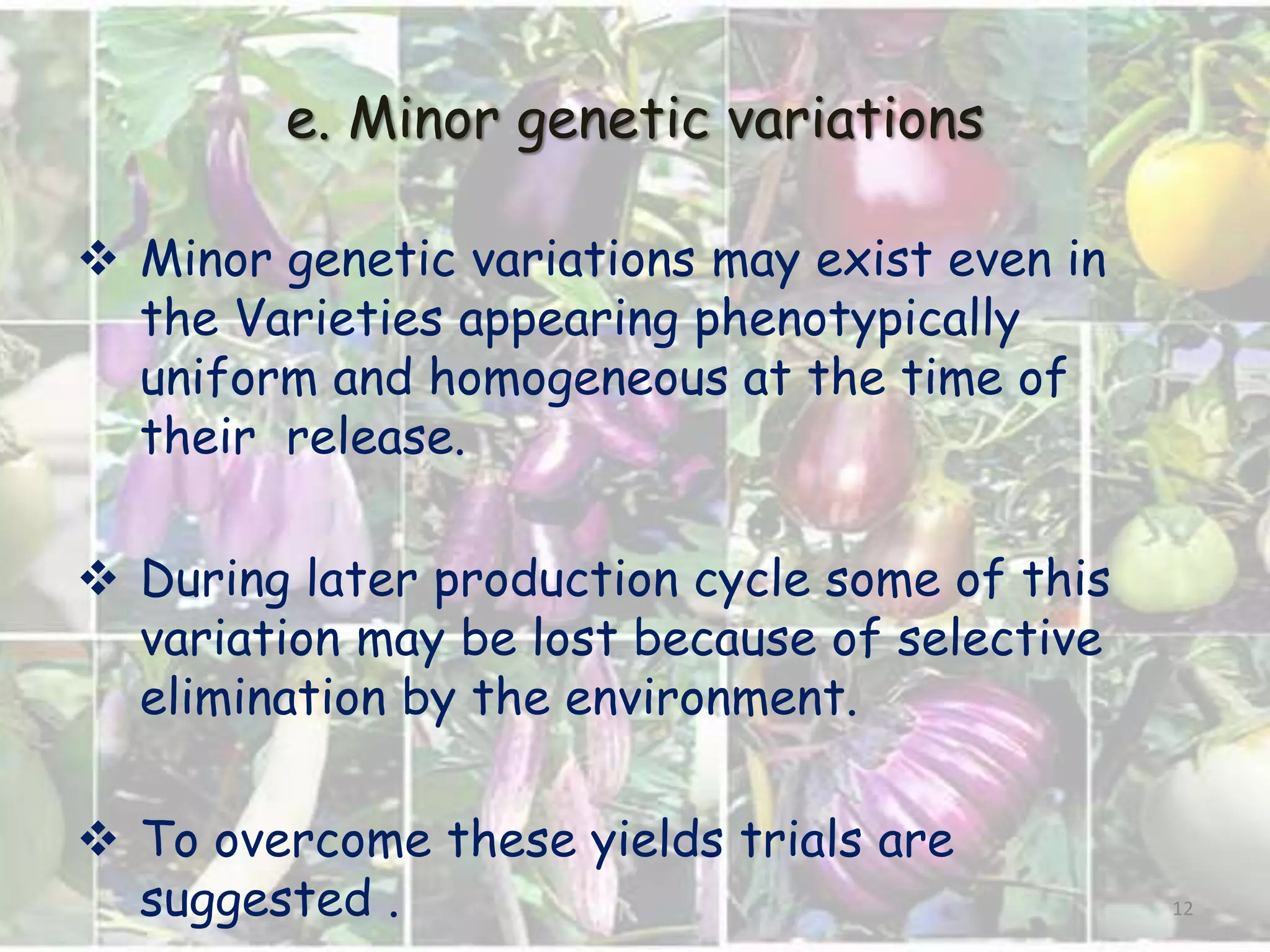 Principles of vegetable seed production | PPTX