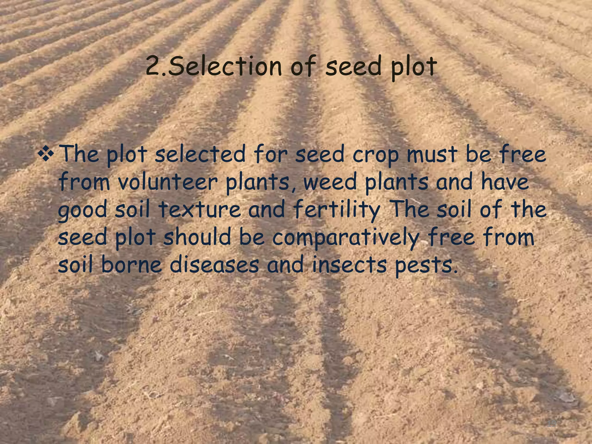 Principles of vegetable seed production | PPTX