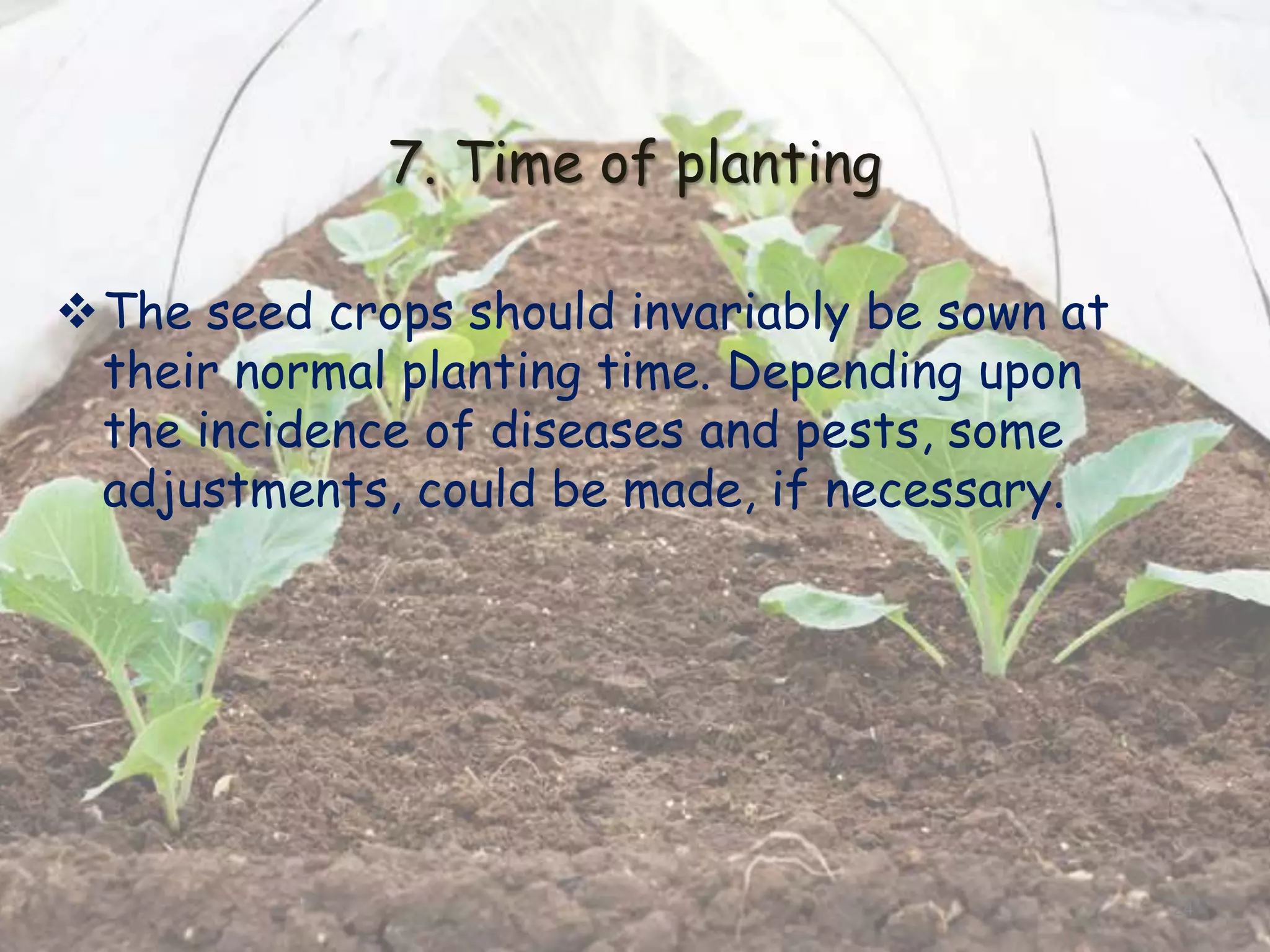 Principles of vegetable seed production | PPTX