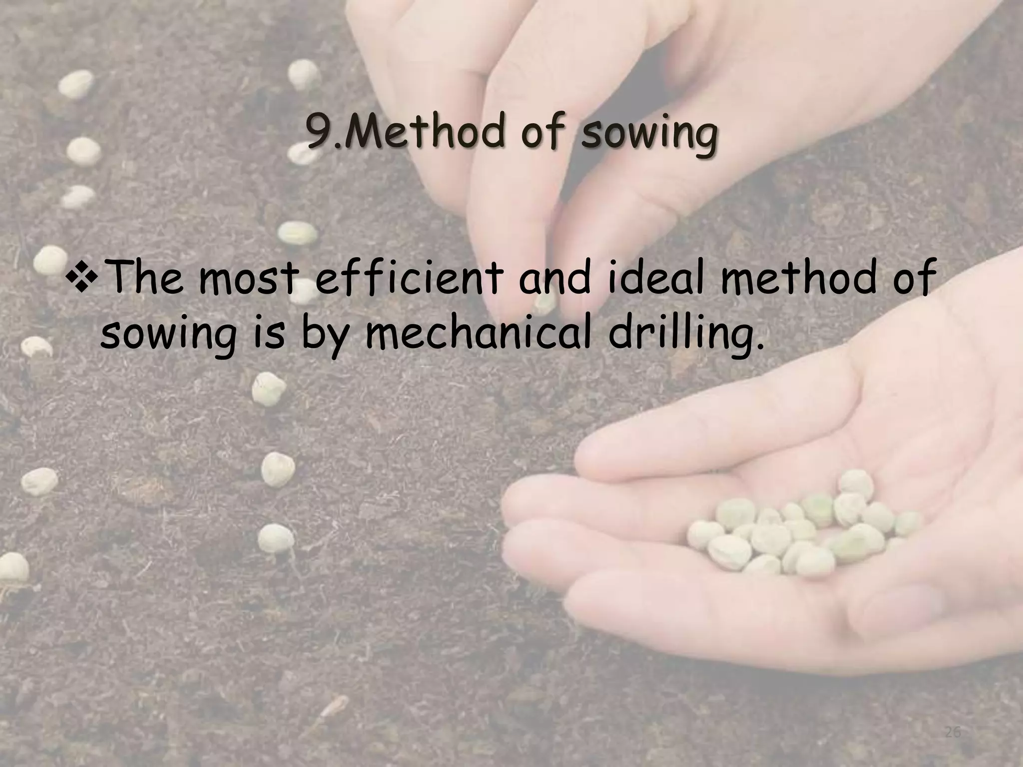 Principles of vegetable seed production | PPTX