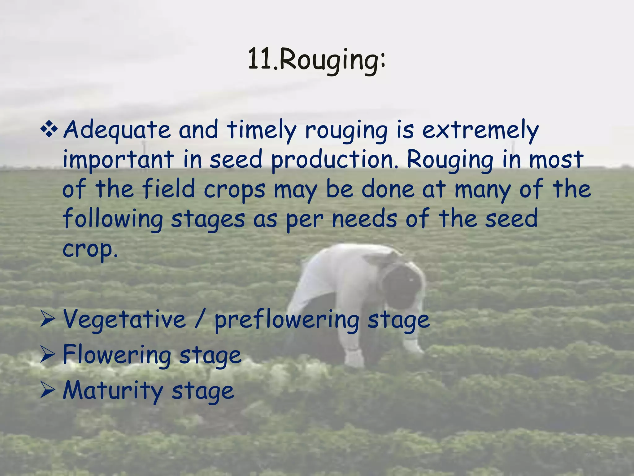 Principles of vegetable seed production | PPTX