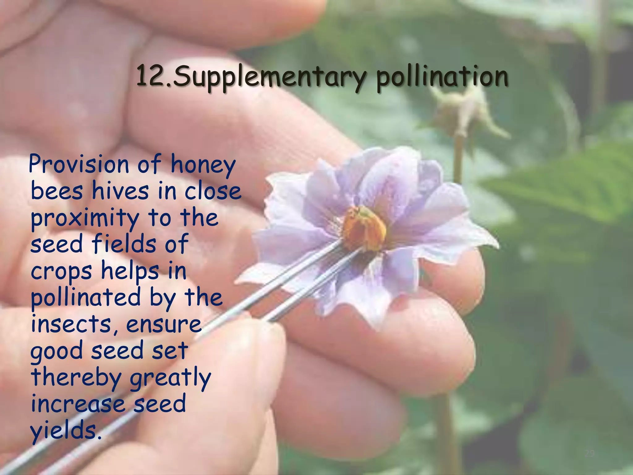 Principles of vegetable seed production | PPTX