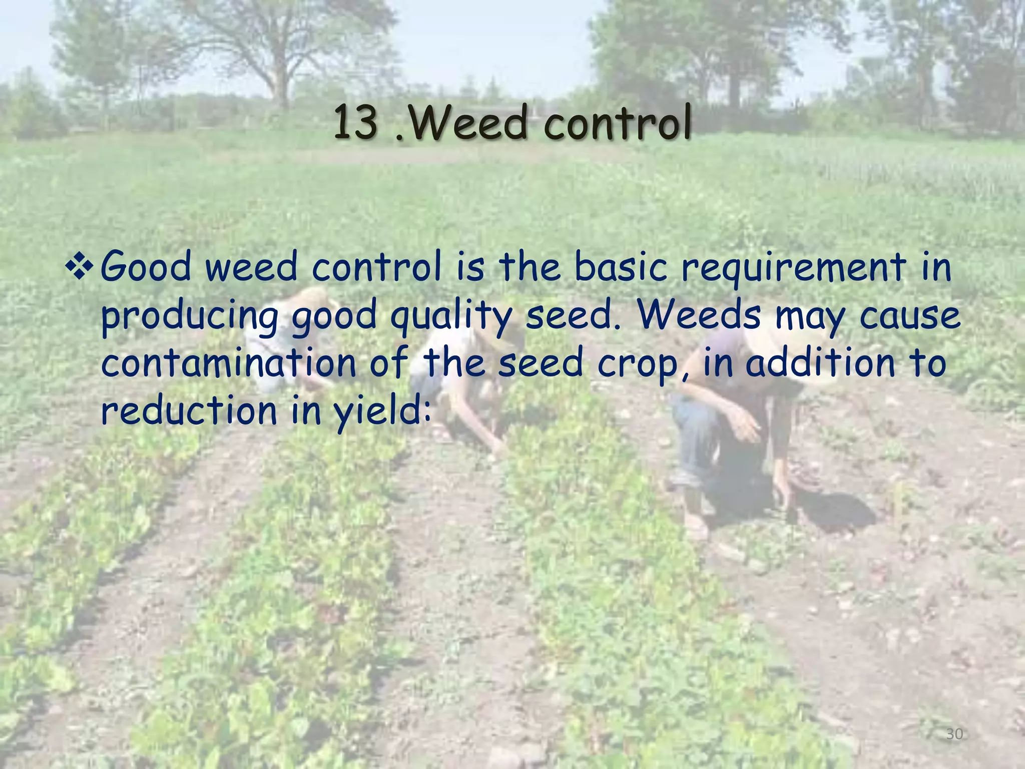 Principles of vegetable seed production | PPTX