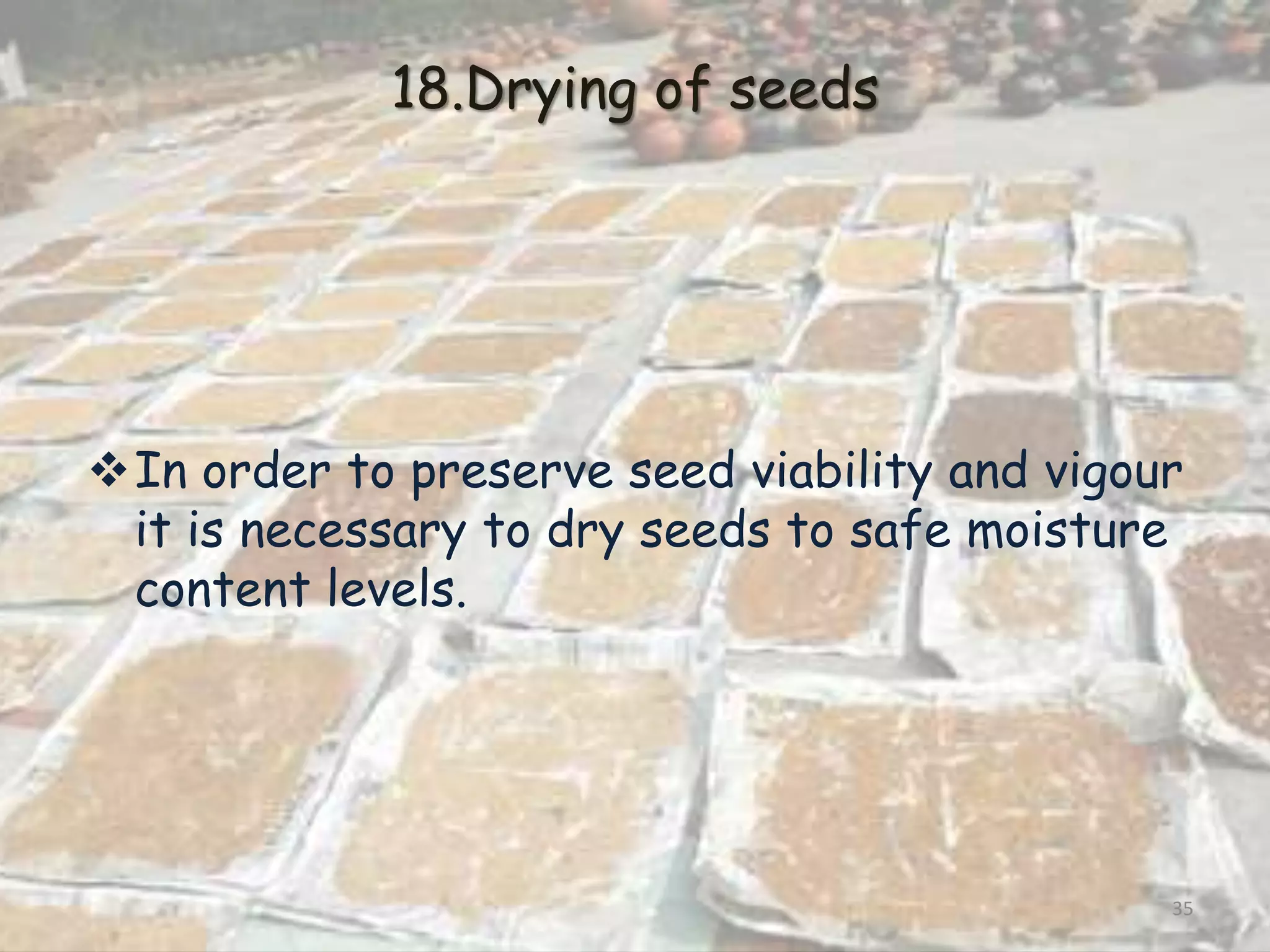 Principles of vegetable seed production | PPTX