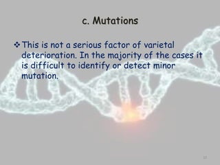 Principles of vegetable seed production | PPTX