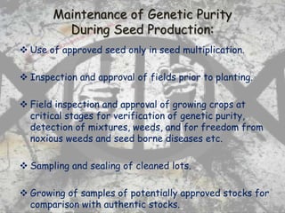 Principles of vegetable seed production | PPTX