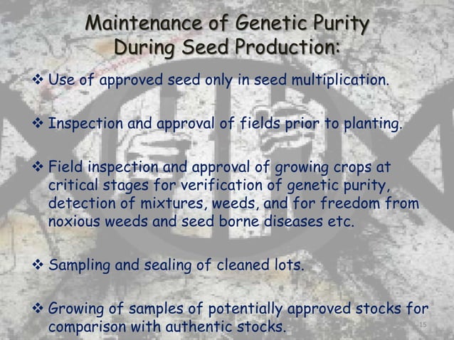 Principles of vegetable seed production | PPTX | Agriculture | Industries