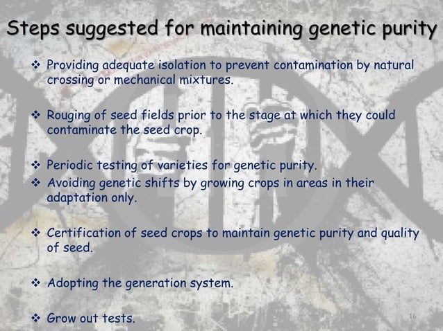 Principles of vegetable seed production | PPTX | Agriculture | Industries